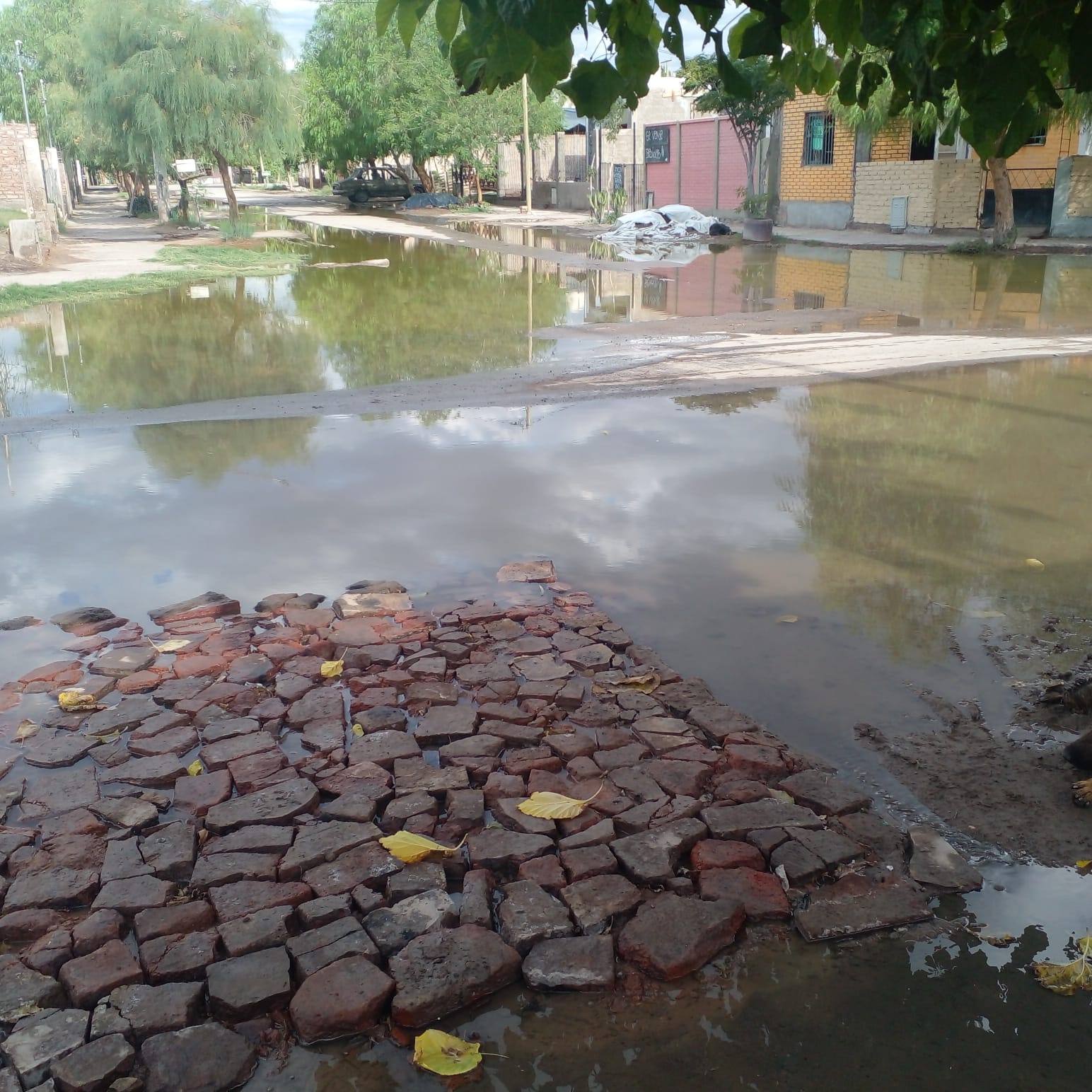 Caucete: Cansados del mal olor, vecinos de barrio Guayagua reclaman por ...
